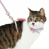 China Breakaway Safety Cat Harness Collar , Personalized Cat Collars Polyester Webbing for sale