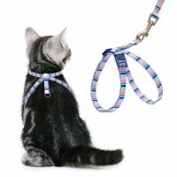 China Eco Friendly Cat Harness And Leash Set Figure 8 Style For Outdoor Safety Walking for sale