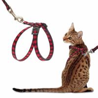 China Eco Friendly Cat Harness And Leash Set Figure 8 Style For Outdoor Safety Walking for sale