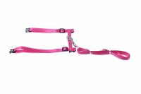 China Small Pet Cat Harness Collar , Adjustable Nylon Cat Collar Easy To Wear for sale