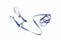 China Small Pet Cat Harness Collar , Adjustable Nylon Cat Collar Easy To Wear for sale