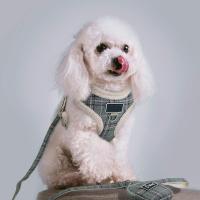 China Soft Cat Harness Collar / Cosy Dog Vest Harness And Leash Set With Cute Bags for sale