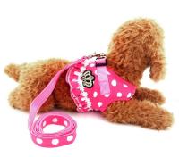 China Puppy Cat Small Girl Dog Dots Vest Harness Leash Set Mesh Padded No Pull Lead for sale