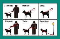 China Soft Handle Waterproof Dog Leash , Nylon Hands Free Dog Leash High Flexibility for sale