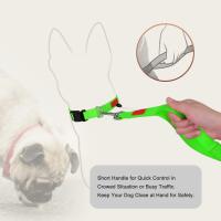 China Soft Handle Waterproof Dog Leash , Nylon Hands Free Dog Leash High Flexibility for sale