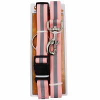 China Durable Waterproof Dog Collar And Leash , Reflective Pet Training Leash for sale