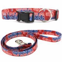 China Durable Waterproof Dog Collar And Leash , Reflective Pet Training Leash for sale