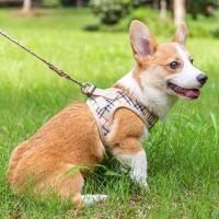 China Plaid Cute Adjustable Puppy Harness And Leash Set Small Dog Vest Escape Proof for sale
