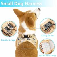 China Plaid Cute Adjustable Puppy Harness And Leash Set Small Dog Vest Escape Proof for sale