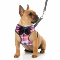 China No Pull Small Dog Harness And Leash Set With Breathable Soft Mesh Nylon Vest for sale