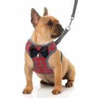 China No Pull Small Dog Harness And Leash Set With Breathable Soft Mesh Nylon Vest for sale
