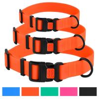 China Adjustable Colorful Waterproof Dog Collars Durable Nylon Webbing Easy To Wash for sale