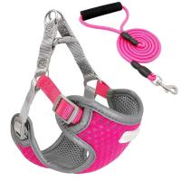 China Rustless Sturdy Small Dog Harness And Leash Set Breathable Soft Air Mesh Vest for sale