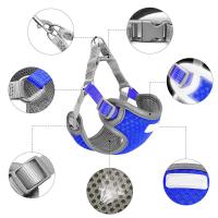 China Rustless Sturdy Small Dog Harness And Leash Set Breathable Soft Air Mesh Vest for sale