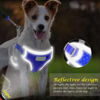 China Rustless Sturdy Small Dog Harness And Leash Set Breathable Soft Air Mesh Vest for sale