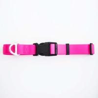 China Reflective Waterproof Dog Collars , Smell Proof Dog Collar Polyester Webbing for sale