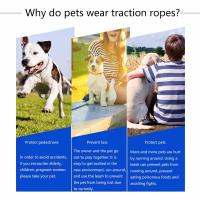 China High Tough Retractable Dog Leash Water Resistant High Tensile Strength for sale