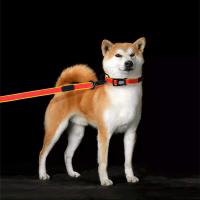 China 4ft Orange Waterproof Dog Leash , No Pull Unchewable Dog Leash For Small Medium Large Dogs for sale