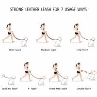 China Genuine Leather Dog Training Lead For All Breeds for sale