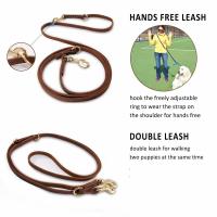 China Genuine Leather Dog Training Lead For All Breeds for sale