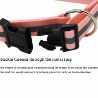 China Comfortable Waterproof Unique Dog Collars And Leashes Reflective With Extra Loop for sale