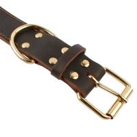 China Soft Handmade Dog Leather Leashes For Dogs Daily Walking Sports Training for sale