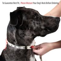China Durable Handmade Dog Leather Leashes , Genuine Full Grain Leather Dog Collar for sale