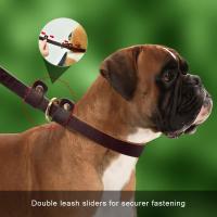 China Adjustable Stitched Handmade Dog Leather Leashes 5' x 0.7