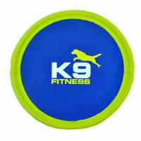 China K9 Fitness Nylon Dog Tough Chew Toys Multiple Shapes Built For Chewers for sale