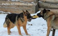 China 6''*6''*1.4'' Dog Tough Chew Toys , Nylon Braided Indestructible Dog Rope Toys for sale