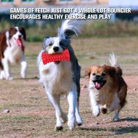 China Red Color Large Dog Tough Chew Toys 6.5*2.7 Inch Eco Friendly Rubber Material for sale