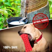 China Red Color Large Dog Tough Chew Toys 6.5*2.7 Inch Eco Friendly Rubber Material for sale