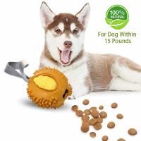 China Teeth Cleaning Dog Tough Chew Toys , Interactive Dog Chew Toys For Aggressive Chewers for sale