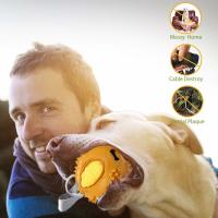 China Teeth Cleaning Dog Tough Chew Toys , Interactive Dog Chew Toys For Aggressive Chewers for sale