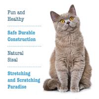 China Safe Cat Scratching Post With Hanging Butterfly Toy OEM ODM Available for sale
