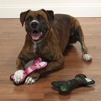 China Nontoxic Dog Tough Chew Toys , Multipurpose Nylon Dog Bones Squeaker Built In for sale