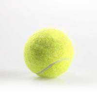 China Eco Friendly Puppy Dog Tough Chew Toys , Durable Pet Tennis Balls For Dogs for sale