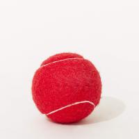 China Eco Friendly Puppy Dog Tough Chew Toys , Durable Pet Tennis Balls For Dogs for sale