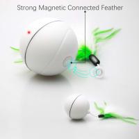 China Smart Automatic Cat Toy Electronic Wicked Balls 360 Degree Rotate Motion Rechargeable for sale