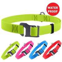 China Colorful Water Resistant Dog Collars Stylish Skin Friendly Neck Girth 14