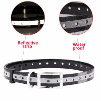China TPU Waterproof Dog Collars With Buckles Adjustable Replacement Strap Soft Belt for sale