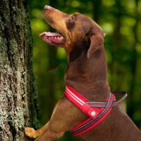 China No Pull Reflective Dog Harness Vest Padded LED Skin Friendly With Adjustable Straps for sale