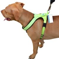 China Escape Proof Light Up LED Dog Vest Fully Padded Wear Resisting Multifuctional for sale