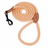China 4/5/6 Foot Leather Dog Leash Tailor Reinforced Rope Multicolor Available for sale