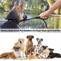 China Traffic Handle Dog Harness Leash No Slip Sturdy Skin Friendly 5 ft For Large Dogs for sale