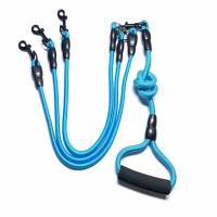 China 3 In 1 Durable Nylon Dog Leash Removable Pet Traction Rope 360° Swivel No Tangle for sale