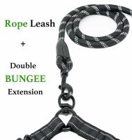 China Dual Nylon Dog Leash 360 Swivel No Tangle Comfortable Shock Absorbing for sale