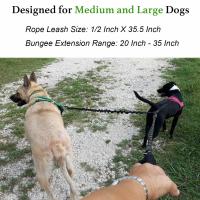 China Dual Nylon Dog Leash 360 Swivel No Tangle Comfortable Shock Absorbing for sale