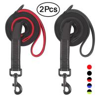 China 3M Reflective Nylon Dog Leash , 5ft Heavy Duty Rope Leash With 2 Padded Handle for sale