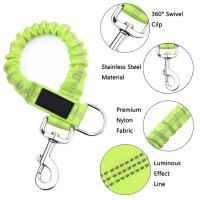 China Shock Absorber Dog Extension Leash Bungee Attachment Prevent Arm Shoulder Injury for sale
